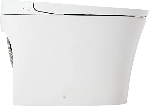 Signature Hardware 477058-12-R Narelle 1.28 GPF One Piece Elongated Toilet - Standard Seat Included