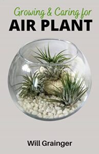 growing & caring for air plant: timeless advice and method for growing and understanding vegetables, flowers, shrubs for beginners.