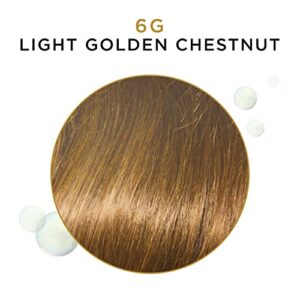 Clairol Professional Beautiful Advanced Gray Solutions 6g Light Golden Chestnut, 3 oz