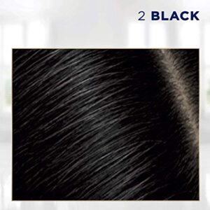 Clairol Root Touch-Up by Nice'n Easy Permanent Hair Dye, 2 Black Hair Color, Pack of 2