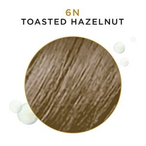 Clairol Professional Beautiful Advanced Gray Solutions 6n Toasted Hazelnut, 3 oz