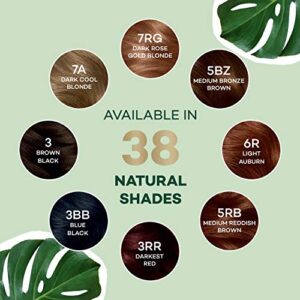 Clairol Natural Instincts Demi-Permanent Hair Dye, 4BZ Dark Bronze Brown Hair Color, Pack of 3