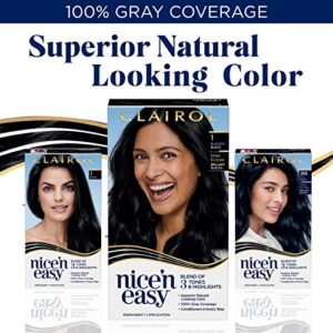 Clairol Nice'n Easy Permanent Hair Dye, 2 Black Hair Color, Pack of 1