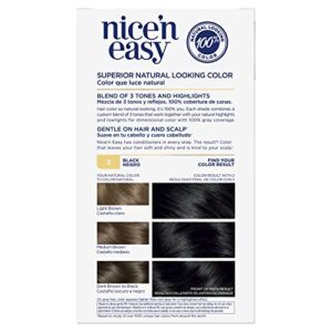 Clairol Nice'n Easy Permanent Hair Dye, 2 Black Hair Color, Pack of 1