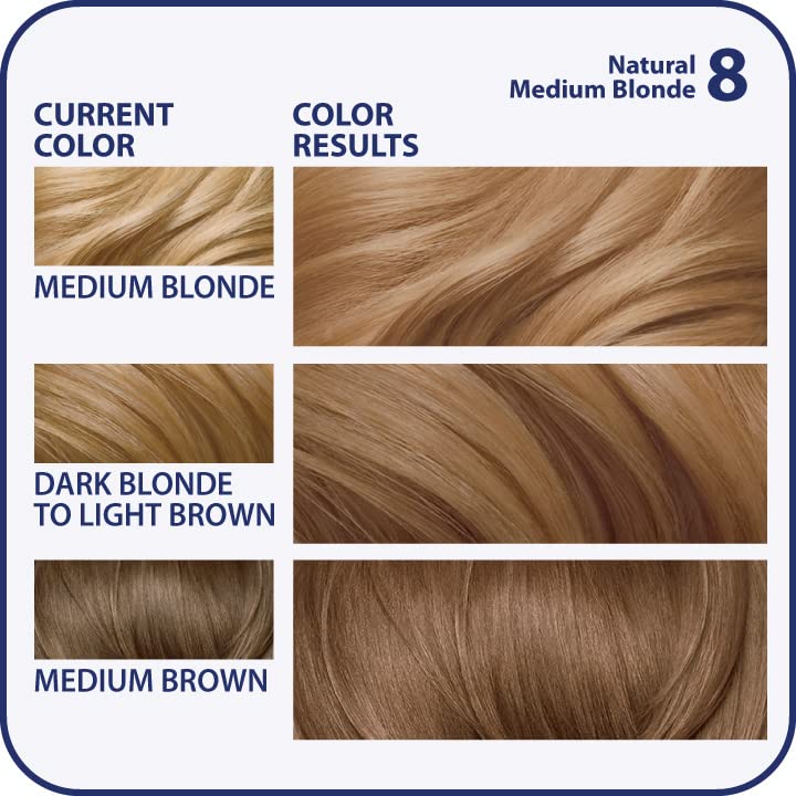 Clairol Nice'n Easy Liquid Permanent Hair Dye, 8 Medium Blonde Hair Color, Pack of 3