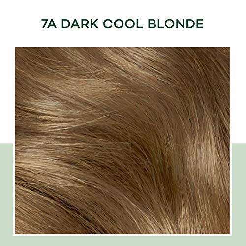 Clairol Natural Instincts Demi-Permanent Hair Dye, 7A Dark Cool Blonde Hair Color, 1 Count(Pack of 3)