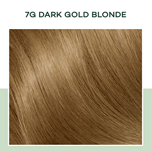 Clairol Natural Instincts Demi-Permanent Hair Dye, 7G Dark Golden Blonde Hair Color, Pack of 3