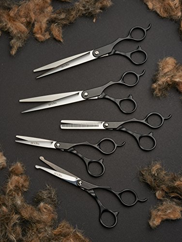 Andis Straight Shears, Right-Handed, Professional Dog and Cat Grooming