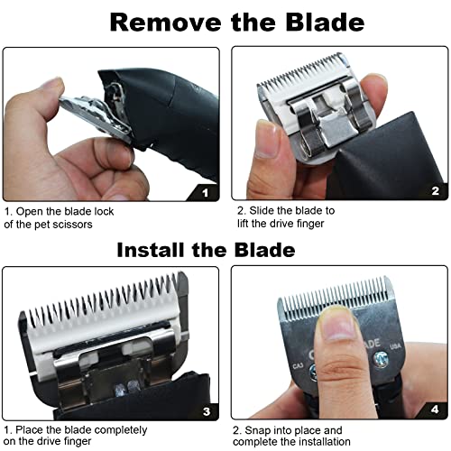 10 Blade Dog Grooming Clipper Replacement Blades Compatible with Andis/Wahl / Oster Dog Clippers,Detachable Ceramic Blade & Stainless Steel Blade,Size-10, 1/16-Inch Cut Length (64315)