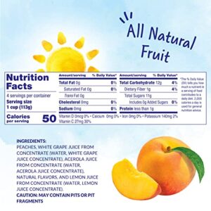 Dole Fruit Bowls Diced Peaches in 100% Juice, Gluten Free Healthy Snack, 4 Ounce 4 Cups (Pack of 4)