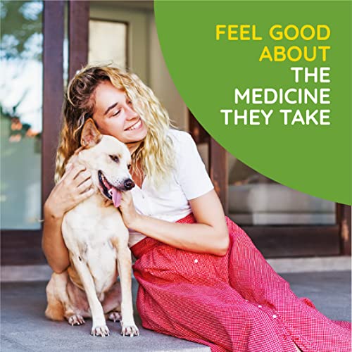 MediNatura T-Relief Pet Arthritis Pain Relief Arnica +12 Powerful Natural Medicines Help Reduce Hip & Joint Pain, Soreness & Stiffness - Fast-Acting Soother for Dog & Cat - 1.69 oz