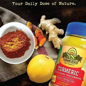 Turmeric Tea 10-in-1 Instant Powder drink w/ Gynura Procumbens Curcuminoids Curcumin Healthy natural herbs and spices Ginger, Lemongrass, Moringa, Naturall (1 Pack)