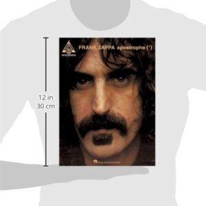 Frank Zappa - Apostrophe (') (Guitar Recorded Version)