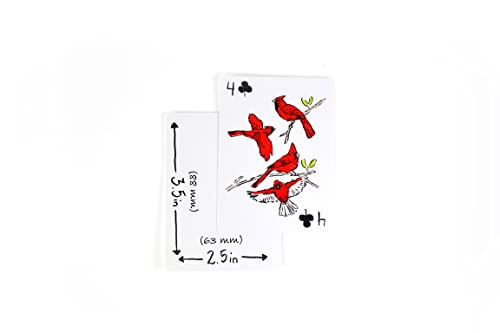 Apostrophe Games Blank Playing Cards – 180pcs Blank Playing Cards to Write On – Custom Card Deck with Luxurious Matte Finish – Fun and Cool Playing Cards for Kids and Adults