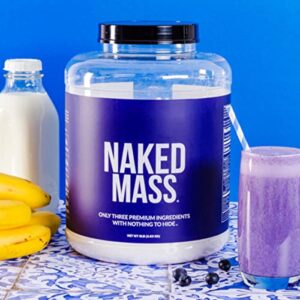 Vanilla Naked Mass - All Natural Weight Gainer Protein Powder - 8lb Bulk, GMO Free, Gluten Free & Soy Free. No Artificial Ingredients - 1,260 Calories - 11 Servings