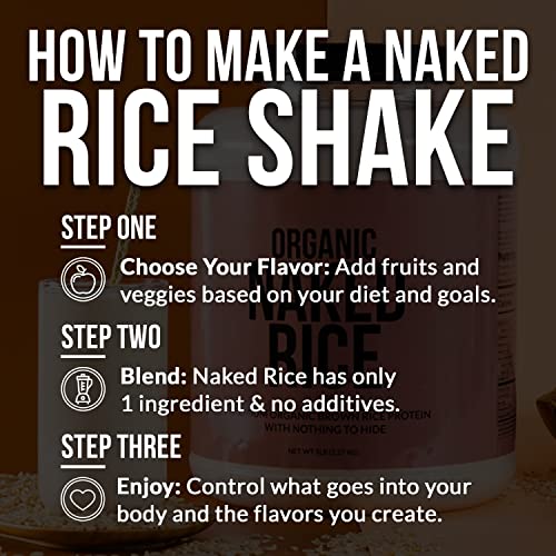 Naked Rice 1LB - Organic Brown Rice Protein Powder - Vegan Protein Powder, GMO Free, Gluten Free & Soy Free. Plant-Based Protein, No Artificial Ingredients - 15 Servings