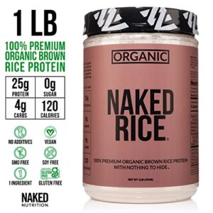 Naked Rice 1LB - Organic Brown Rice Protein Powder - Vegan Protein Powder, GMO Free, Gluten Free & Soy Free. Plant-Based Protein, No Artificial Ingredients - 15 Servings