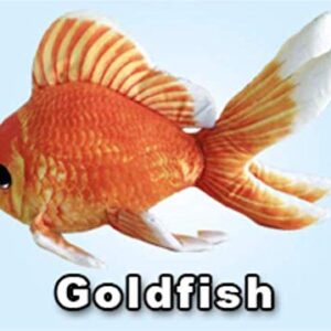 GreenPleco Stuffed Goldfish Plush