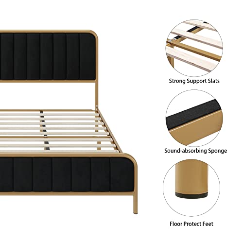 HITHOS Queen Size Bed Frame, Upholstered Bed Frame with Button Tufted Headboard, Heavy Duty Metal Mattress Foundation with Wooden Slats, Easy Assembly, No Box Spring Needed (Golden/Black, Queen)