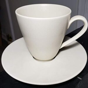 Crate & Barrel Domo Pearl Design Stockholm House Cup and Saucer Set