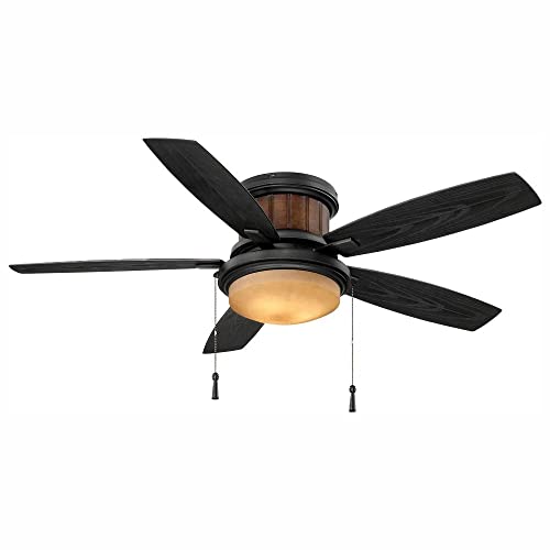 Hampton Bay Roanoke 48 in. LED Indoor/Outdoor Natural Iron Ceiling Fan with Light Kit