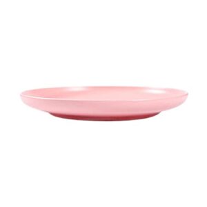 KOWMcp Dinner Plates Household Round Dinner Plate Dessert Fruit Food Storage Tray (Color : Red)