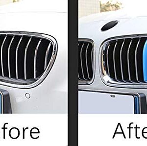 TOPGRIL M-Colored Stripe Grille Insert Trims M Sport Grille Insert Trim Strips For 2011-2013 BMW F10 F11 5 Series 528i 535i 550i Kidney Grills (12 Beams ONLY,Not For 10-Beam)