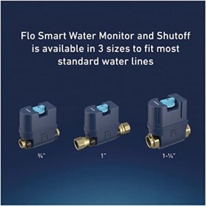 Moen 900-006 Flo Smart Water Monitor and Shutoff in 1-Inch Diameter