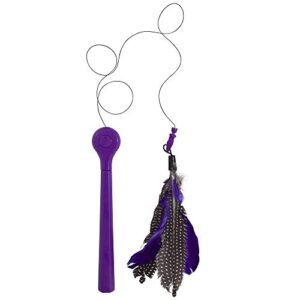 petmate jackson galaxy air wand