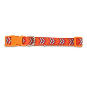 doskocil petmate aspen pet products petmate rubber collar, chevron orange, 3/4′ x 14-20′