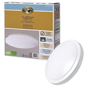 hampton bay 12 in. round led flush mount light pantry laundry closet light 1000 lumens dimmable 4000k bright white, 54074391