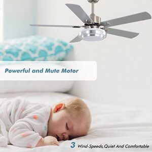 warmiplanet Ceiling Fan with Lights Remote Control, 52 Inch, Brushed Nickel (5-Blades)