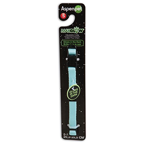 Petmate Glow-in Dark Adjustable Collar, 3/8" x 8-14", Blue