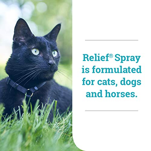 Relief Spray, temporary relief of itching and flaking, for dogs, cats and horses, 8 oz