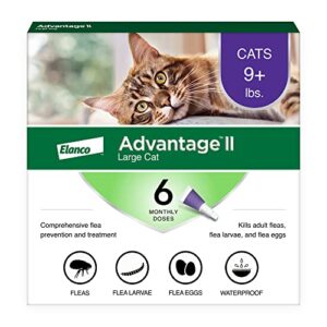 advantage ii large cat vet-recommended flea treatment & prevention | cats over 9 lbs. | 6-month supply