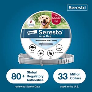 Seresto Large Dog Vet-Recommended Flea & Tick Treatment & Prevention Collar for Dogs Over 18 lbs. | 8 Months