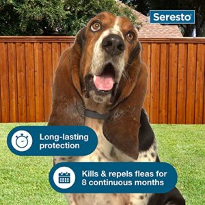 Seresto Large Dog Vet-Recommended Flea & Tick Treatment & Prevention Collar for Dogs Over 18 lbs. | 8 Months