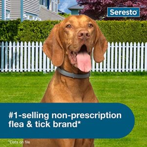 Seresto Large Dog Vet-Recommended Flea & Tick Treatment & Prevention Collar for Dogs Over 18 lbs. | 8 Months