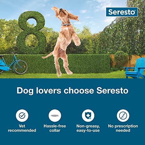 Seresto Large Dog Vet-Recommended Flea & Tick Treatment & Prevention Collar for Dogs Over 18 lbs. | 8 Months