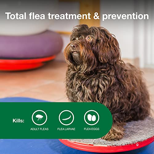 Advantage II Small Dog Vet-Recommended Flea Treatment & Prevention | Dogs 3-10 lbs. | 6-Month Supply