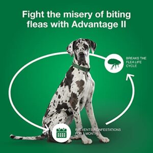 Advantage II XL Dog Vet-Recommended Flea Treatment & Prevention | Dogs Over 55 lbs. | 6-Month Supply