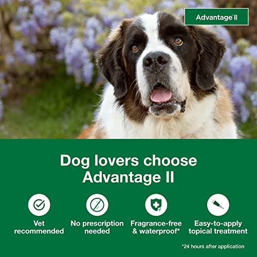 Advantage II XL Dog Vet-Recommended Flea Treatment & Prevention | Dogs Over 55 lbs. | 6-Month Supply