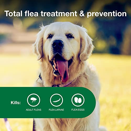 Advantage II Large Dog Vet-Recommended Flea Treatment & Prevention | Dogs 21-55 lbs. | 4-Month Supply