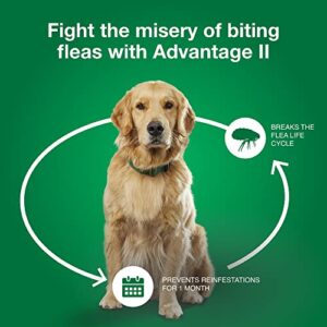 Advantage II Medium Dog Vet-Recommended Flea Treatment & Prevention | Dogs 11-20 lbs. | 6-Month Supply