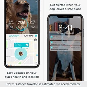 Seresto 8-Month Flea & Tick Prevention Collar for Small Dogs Up to 18 lbs Plus FitBark GPS Dog Tracker | Buy Together and Get Free 1-Year GPS Subscription ($255.33 Value)