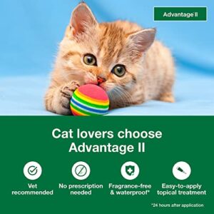 Advantage II Kitten Vet-Recommended Flea Treatment & Prevention | Cats 2-5 lbs. | 2-Month Supply