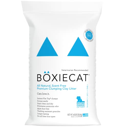 Boxiecat Premium Clumping Cat Litter - Scent Free - Clay Formula - Ultra Clean Litter Box, Longer Lasting Odor Control, Hard Clumping Litter, 99.9% Dust Free, Blue, 40 lb