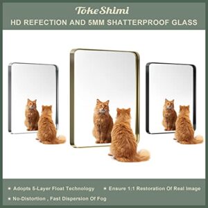 TokeShimi Full Length Mirror 65 x 22 Inch Bedroom Floor Standing Mirror Golden Metal Frame Decorative Rectangular Wall Mounted Full Body Mirror for Bedroom Living Room Salon