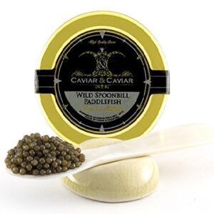 GUARANTEED OVERNIGHT! American Caviar SAMPLER Bowfin, Salmon, Paddlefish, Premium Sturgeon 1oz ea + FREE SPOON & BLINI