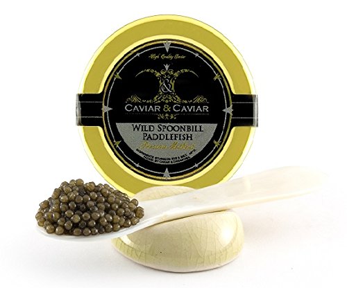 GUARANTEED OVERNIGHT! American Caviar SAMPLER Bowfin, Salmon, Paddlefish, Premium Sturgeon 1oz ea + FREE SPOON & BLINI